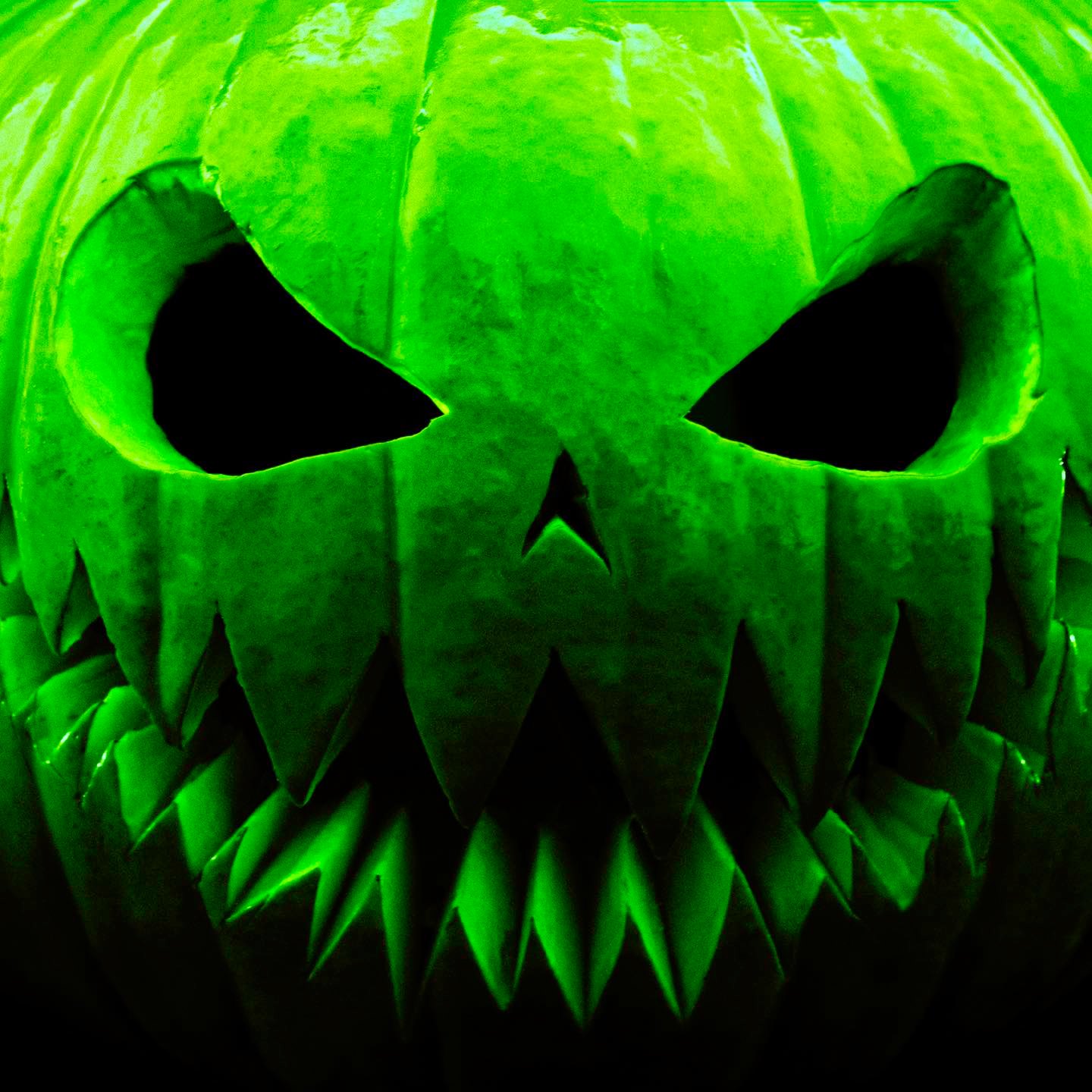 WOOPA - Le Canal Auditif