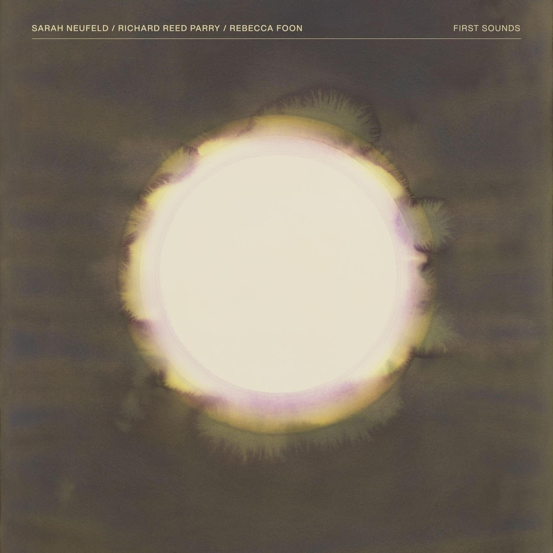 5 nouveaux albums à écouter - 1er novembre 2024 - Le Canal Auditif