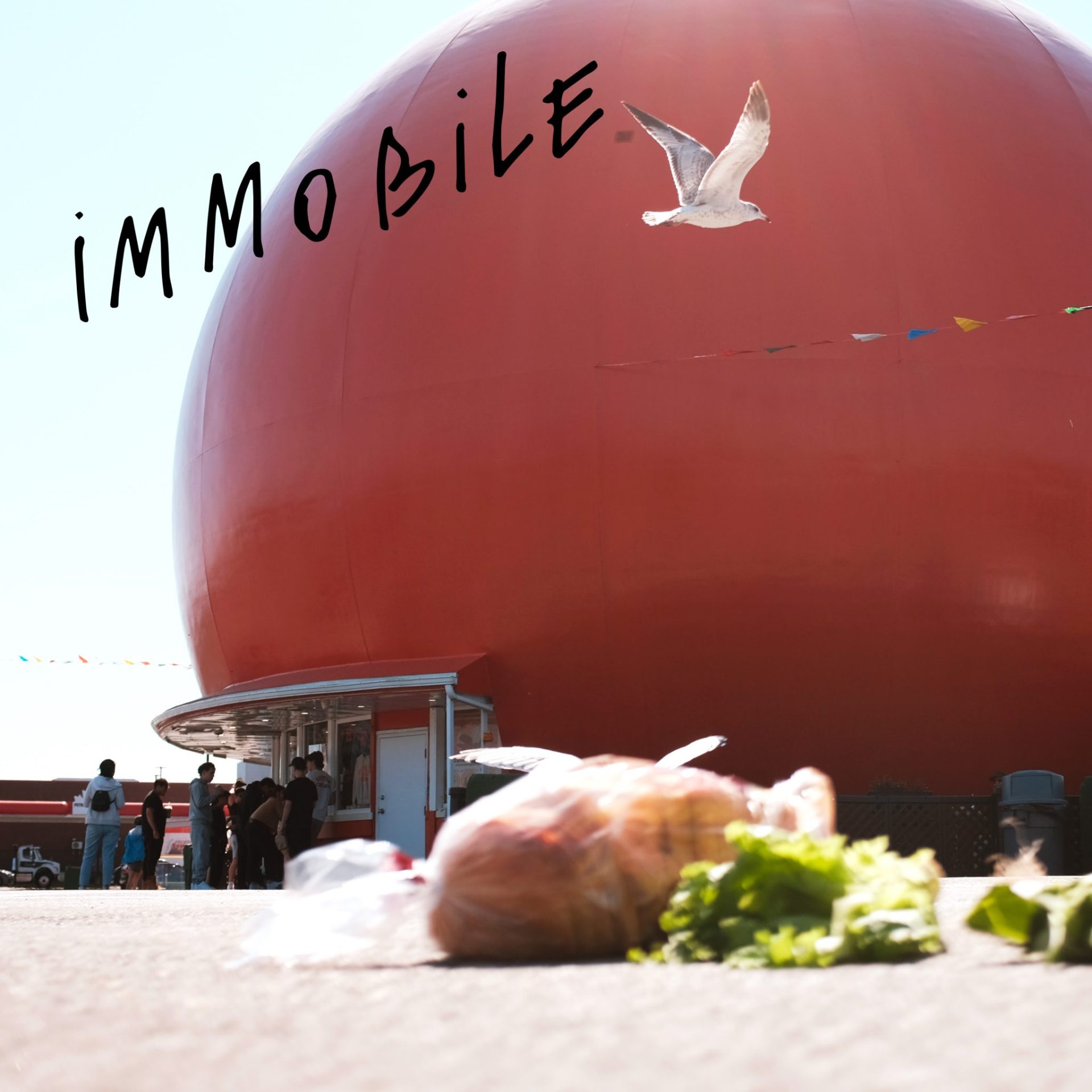 Immobile - Le Canal Auditif