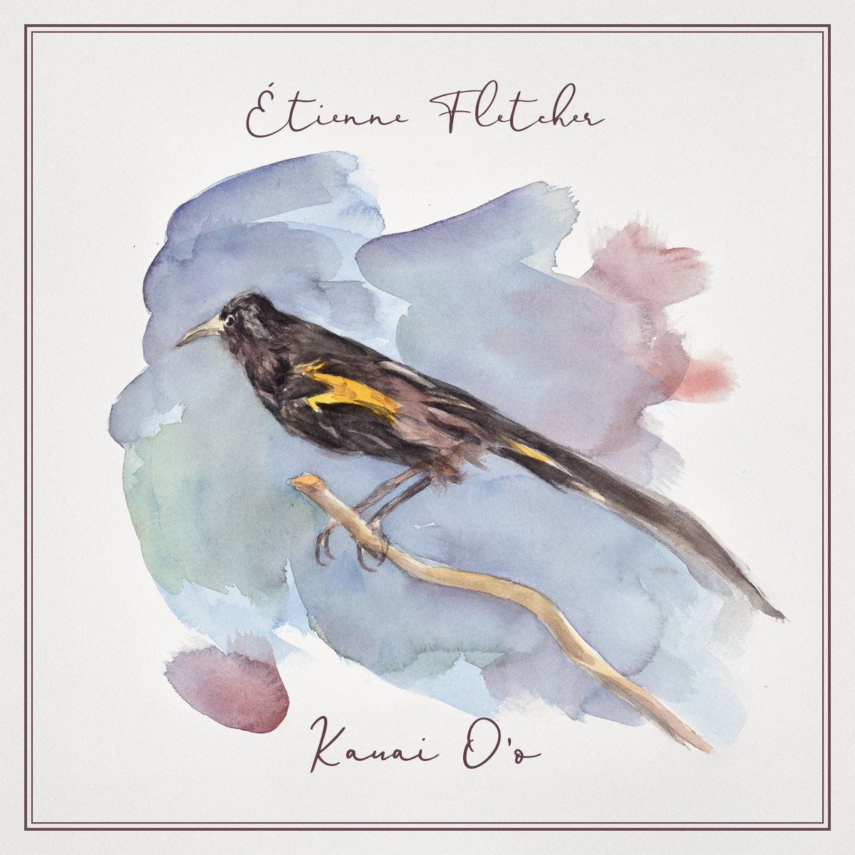 Étienne Fletcher annonce Kauai O'o, un nouvel album bilingue - Le Canal ...